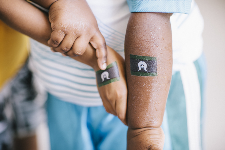Torres Strait Islander flag | AIATSIS corporate website