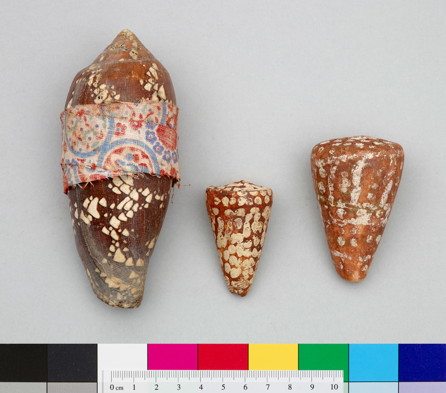 Anindilyakwa Art Centre's Dadikwakwa-kwa (Doll Shells) 2023 entry ...